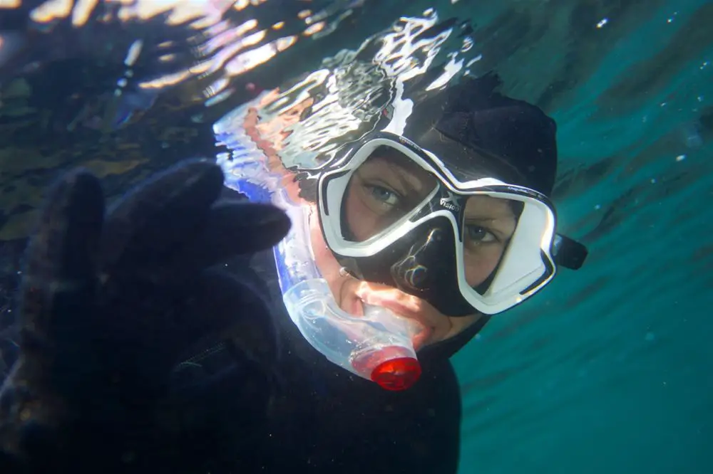 Plongée en apnée dans le cercle polaire arctique - Actualités de Norvège